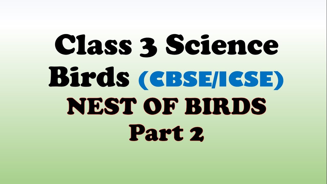 CBSE Class 3 Science Birds Birds For Class 3 Nest Of Birds CBSE Class 3 Birds Nest YouTube cbse-class-3-science-birds-birds-for-class-3-nest-of-birds-cbse-class-3-birds-nest-youtube