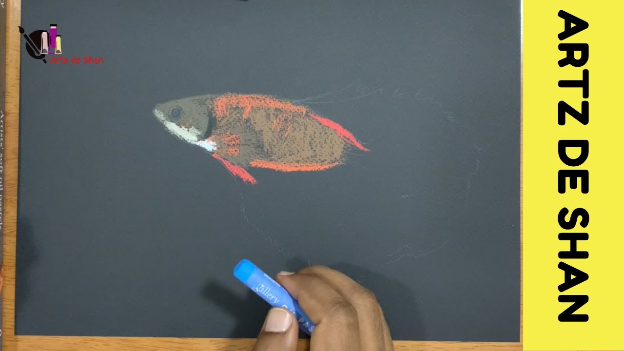 Fighter Fish | Oil pastels drawing | Black paper - YouTube