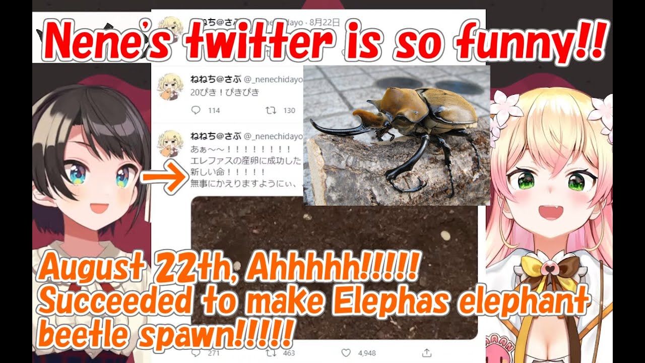 [Hololive] Subaru "Nene's second account of twitter is so funny!!"[Eng ...