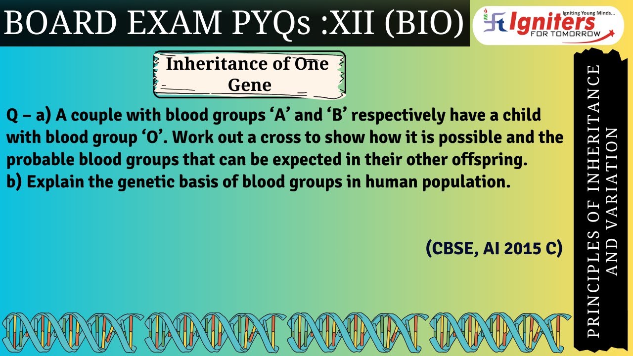A couple with blood groups ‘A’ and ‘B’ respectively have a child with ...
