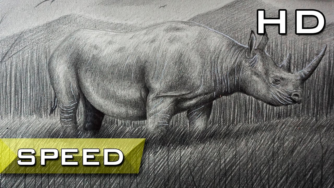 Drawing a Realistic Rhino with Pencil - Speed Drawing - Timelapse Art ...