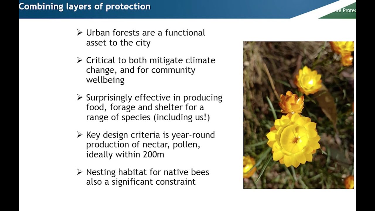 Cormac Farrell. Biodiversity needs Bees! - YouTube