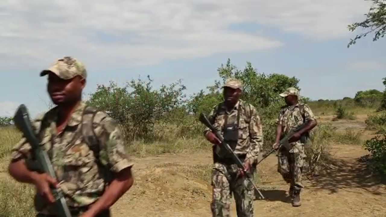 Protecting rhinos in the Wilderness - Help a Ranger Save a Rhino - YouTube