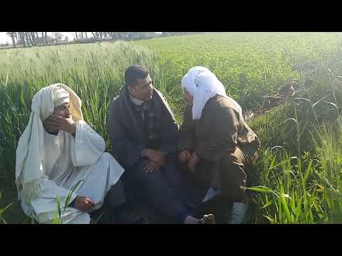 حموده وحميده مش سايبين حد في حاله حتي المطرب باسم الكردي   ضحك السنين