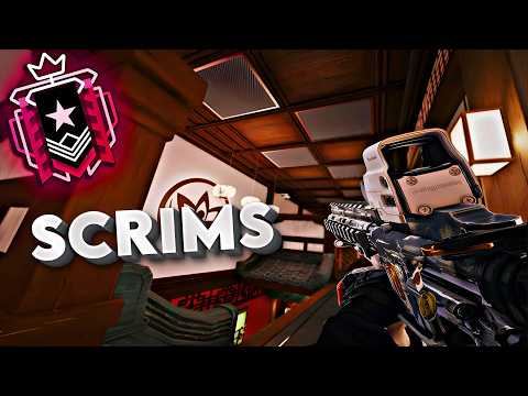 My First PRO Scrim In Rainbow 6 Mobile!