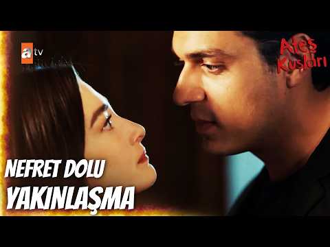 Kara ve Hüma arasındaki gergin yakınlaşma - Ateş Kuşları 33. Bölüm