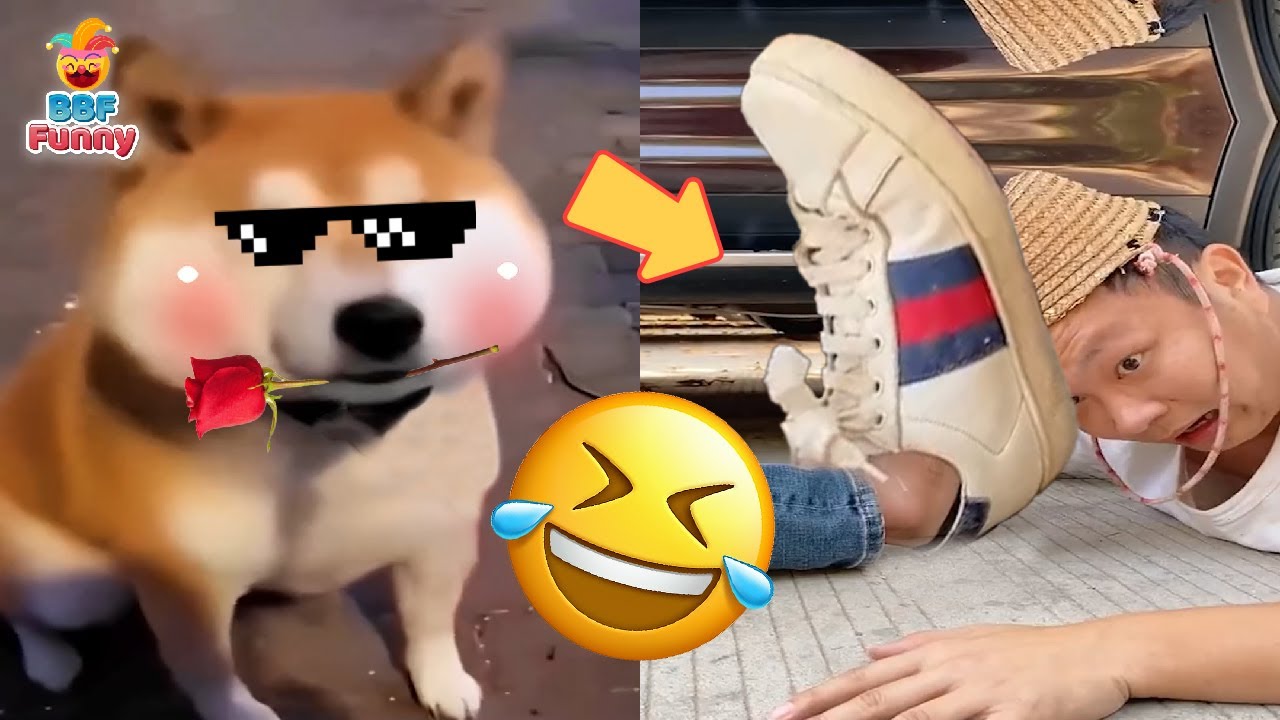 Best Funny Videos Make You Laugh All Day 🤣 Try Do Not Laugh 😂 Funniest ...