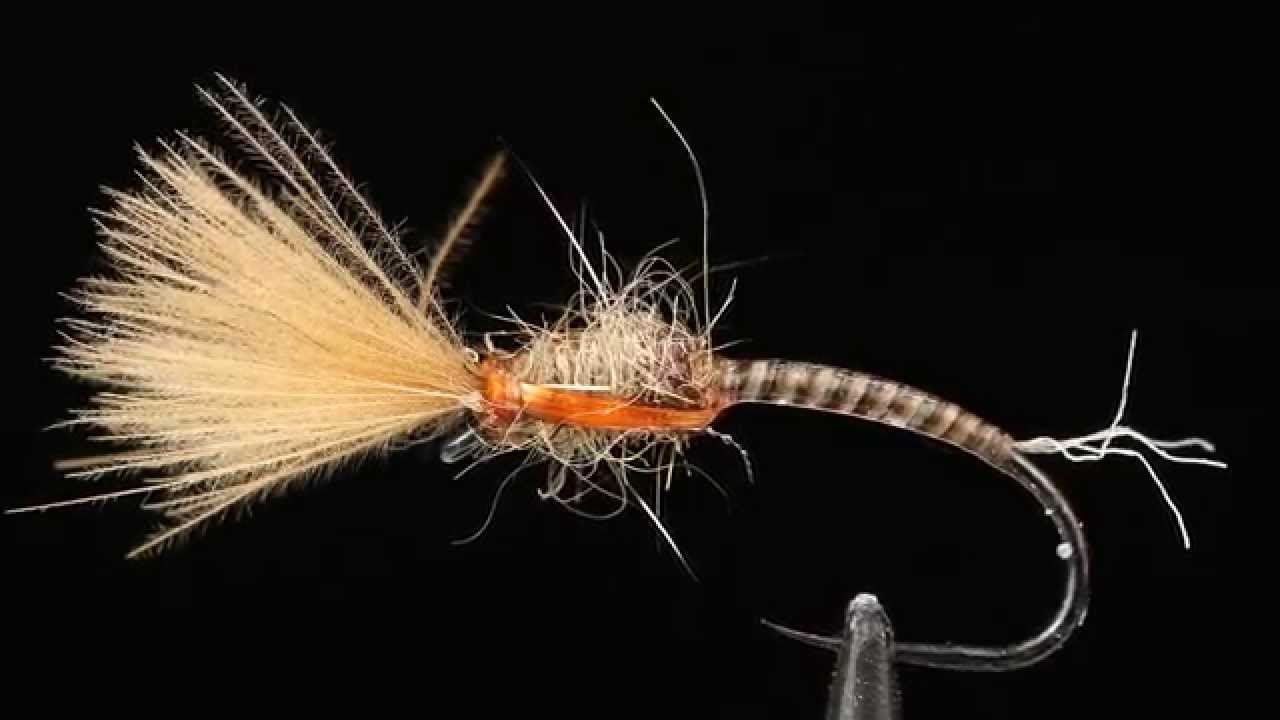 Buzzer Flies from Giovanni - YouTube