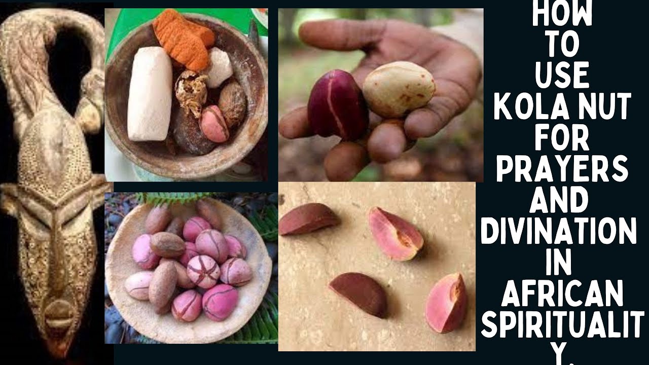 Spiritual Powers of Kola Nut for Prayers & Divination in African ...