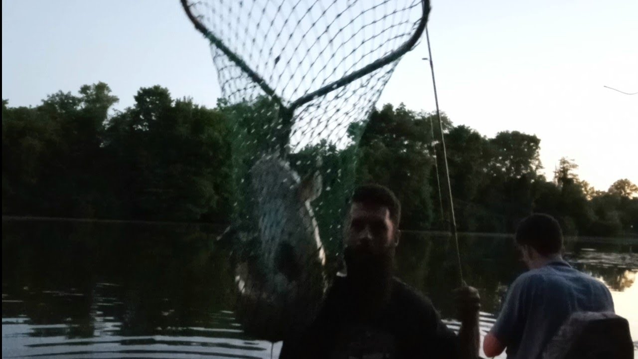 Catching Catfish at Night! (Big Catch)! Glow Bobbers! #fishing # ...