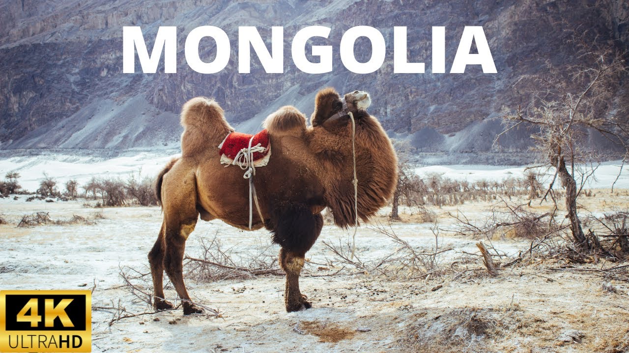 Mongolia Nature 4K Movie Video Ultra HD | 4K Mongolia Scenic Relaxation ...