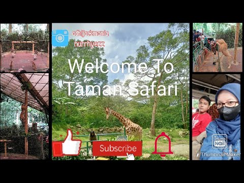 safari tour indofood ancol - YouTube