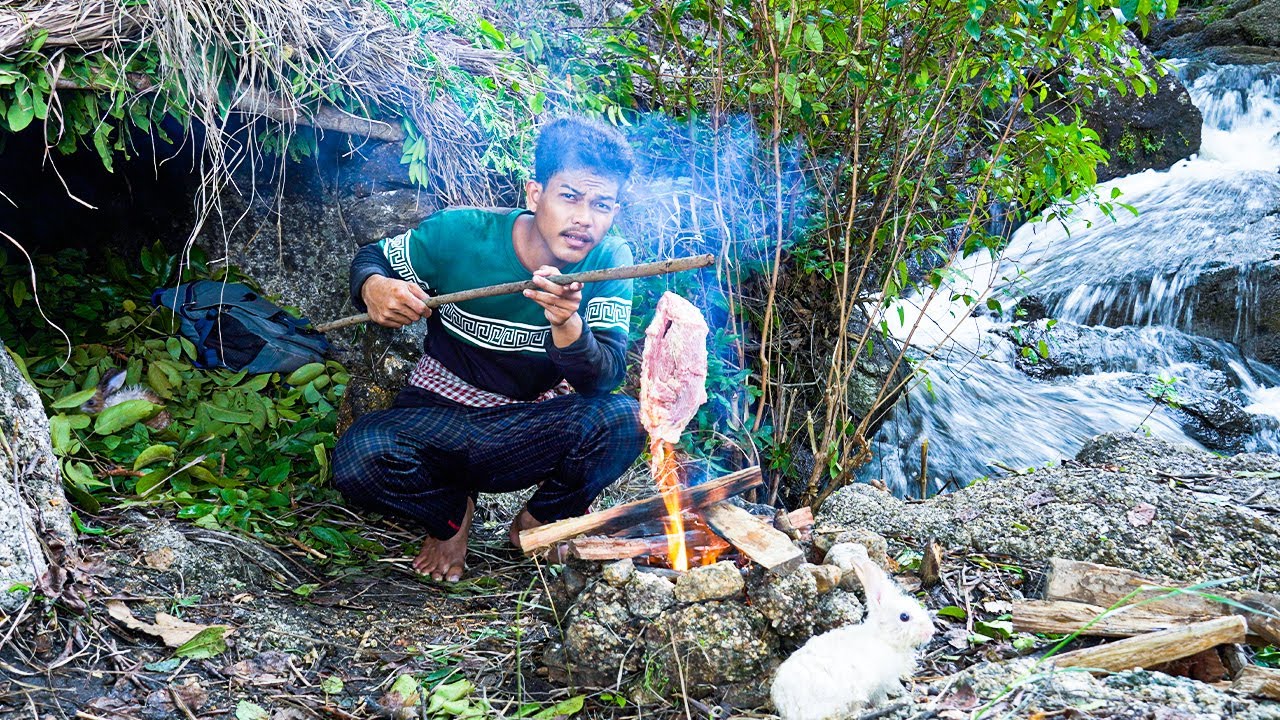 Camping in Relax Rain with Rabbit/Cooking Beef in the Mountain - YouTube