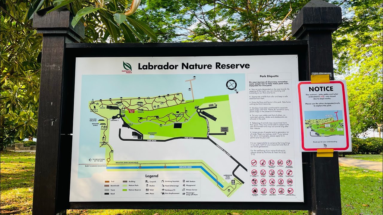 Morning walk from Berlayer Creek to Labrador Nature Reserve - YouTube