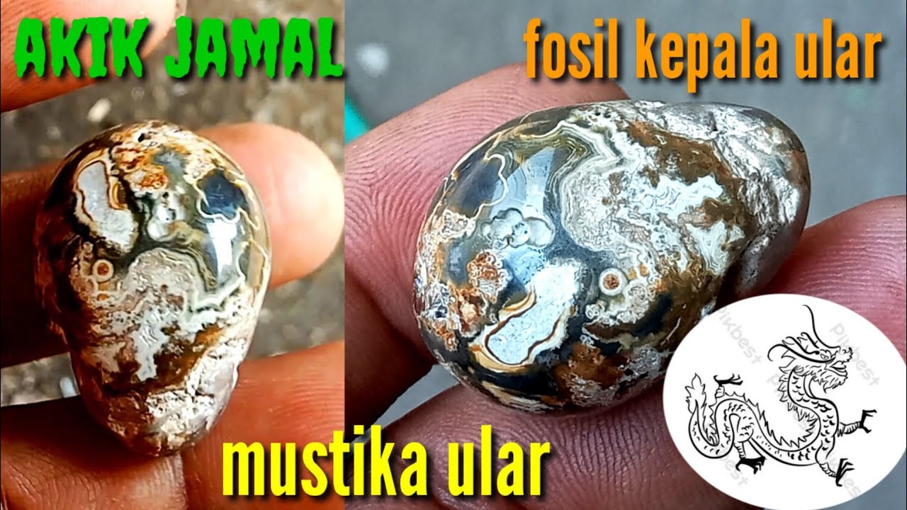 batu akik jamal | mustika ular | fosil kepala ular - YouTube