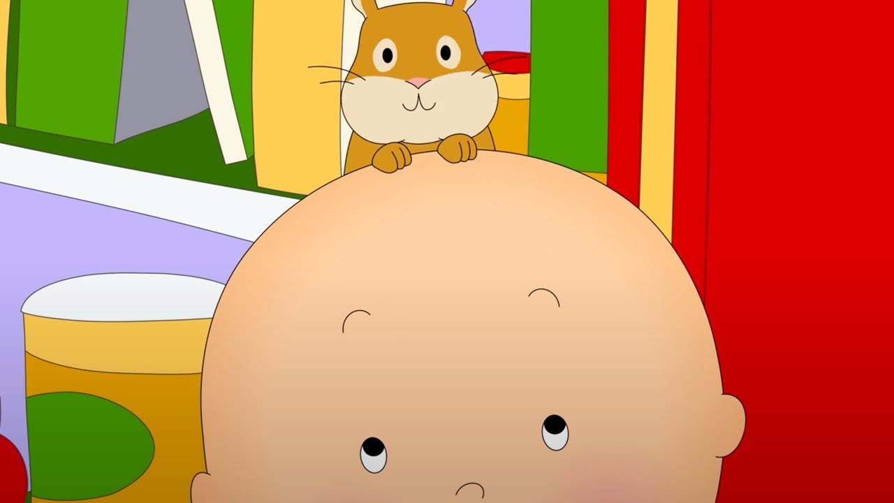 Caillou and the Pet | Caillou Cartoon - YouTube