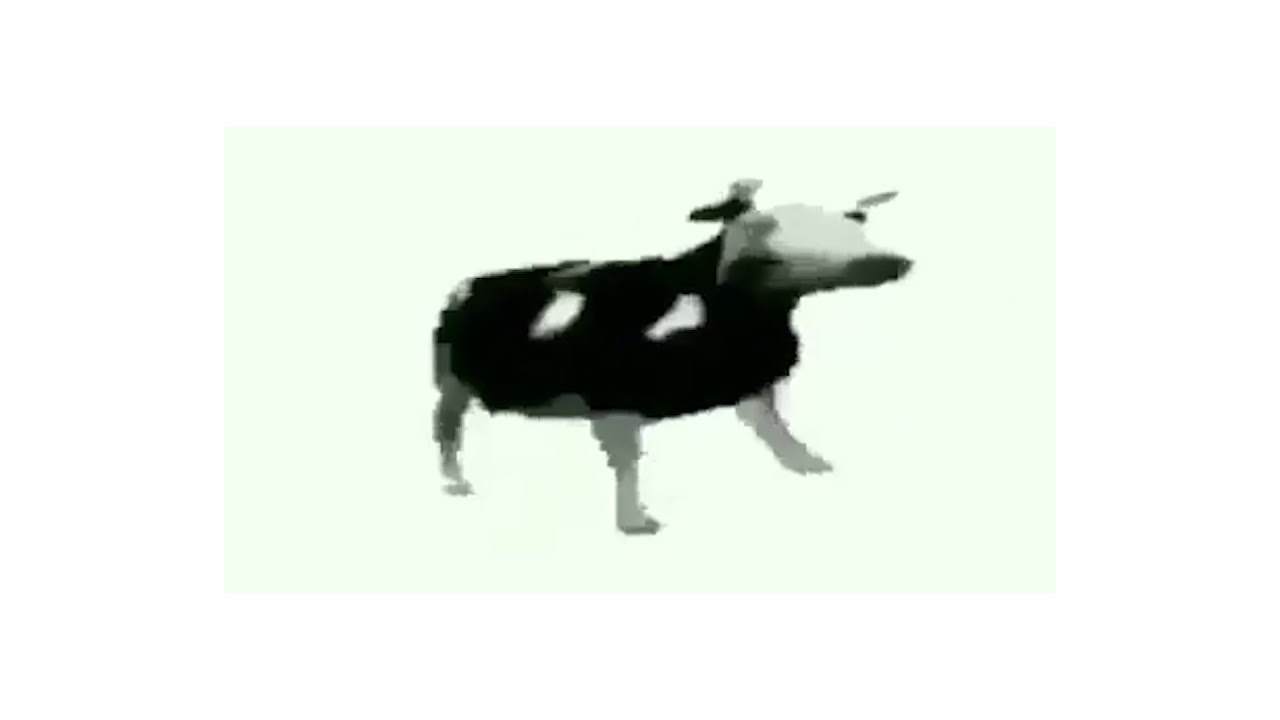 Dancing Polish Cow Viral Loop 1 - YouTube