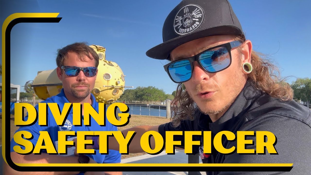 Dive Safety Officer At Mote Marine Laboratory - YouTube