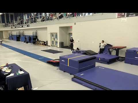 Grace Gruebner Video Vault- 2024 Florida USA Gymnastics Level 3, 4 State Championships