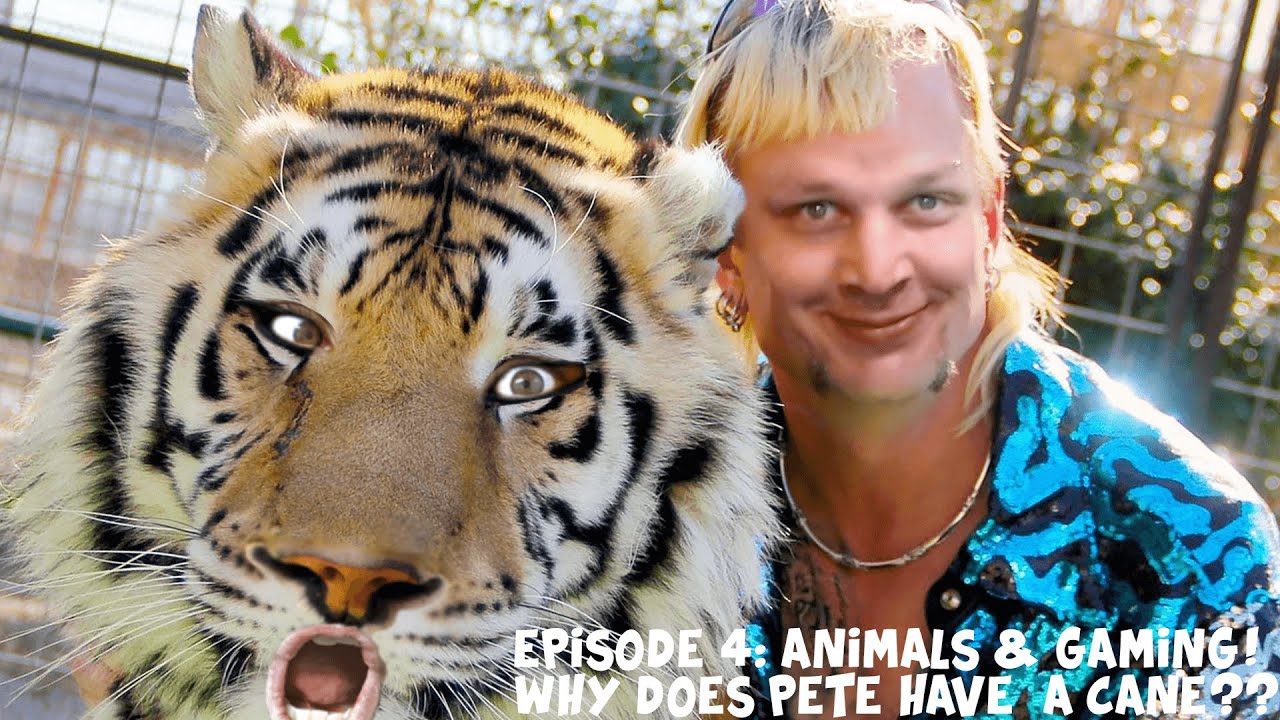 Animals & Gaming!! Why does Pete have a cane?? - YouTube