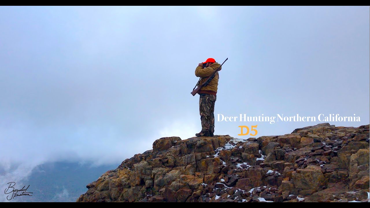 Hunting D5 Zone (Deer Hunt) - YouTube