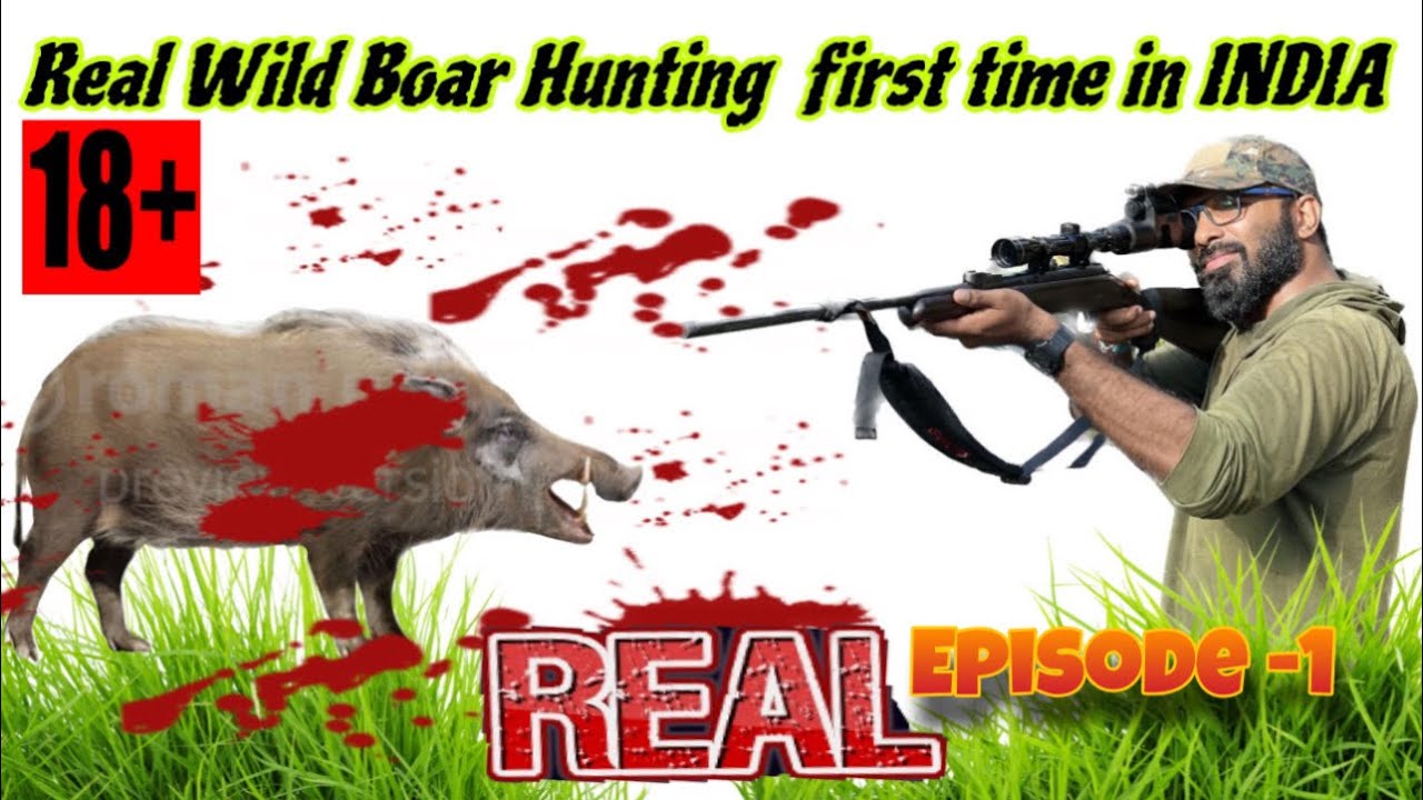 Real wild BORE hunting in Kerala #india പ്രായപൂർത്തിയായവർ മാത്രം കാണുക🤷‍♂️#hunting - YouTube