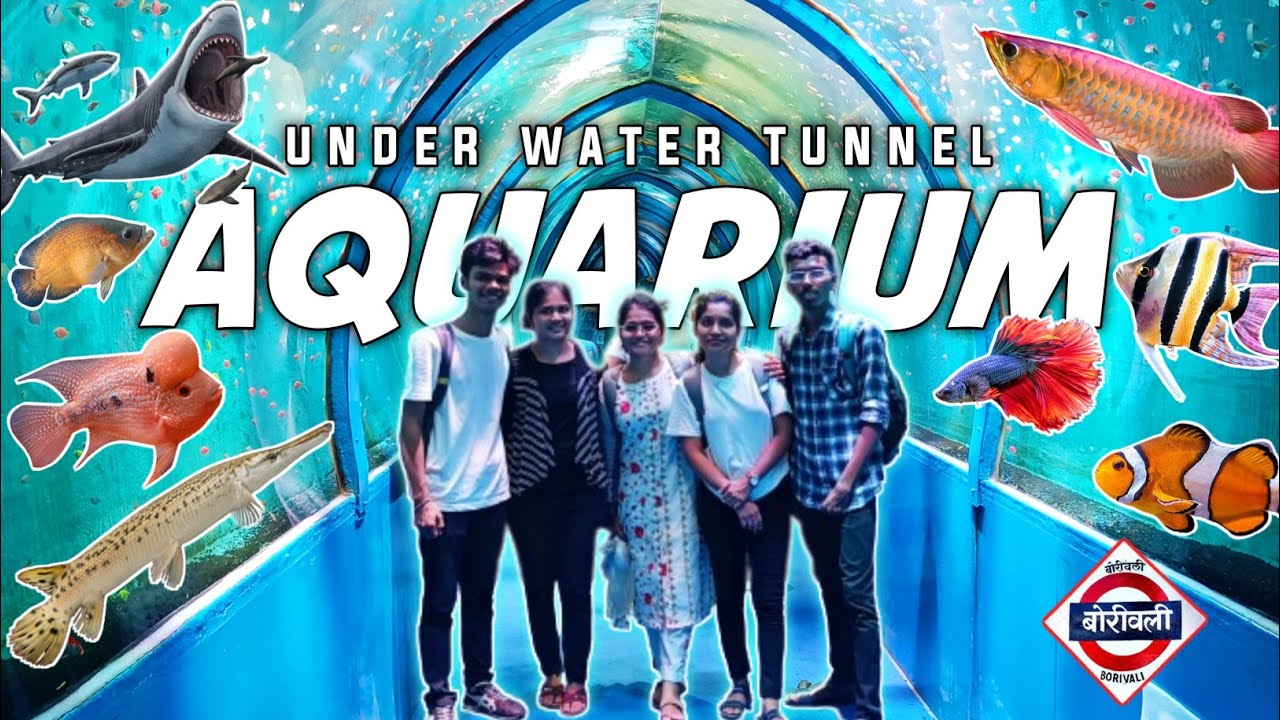 borivali aquarium kora kendra mumbai 😍 | INDIA FIRST UNDER WATER TUNNEL ...