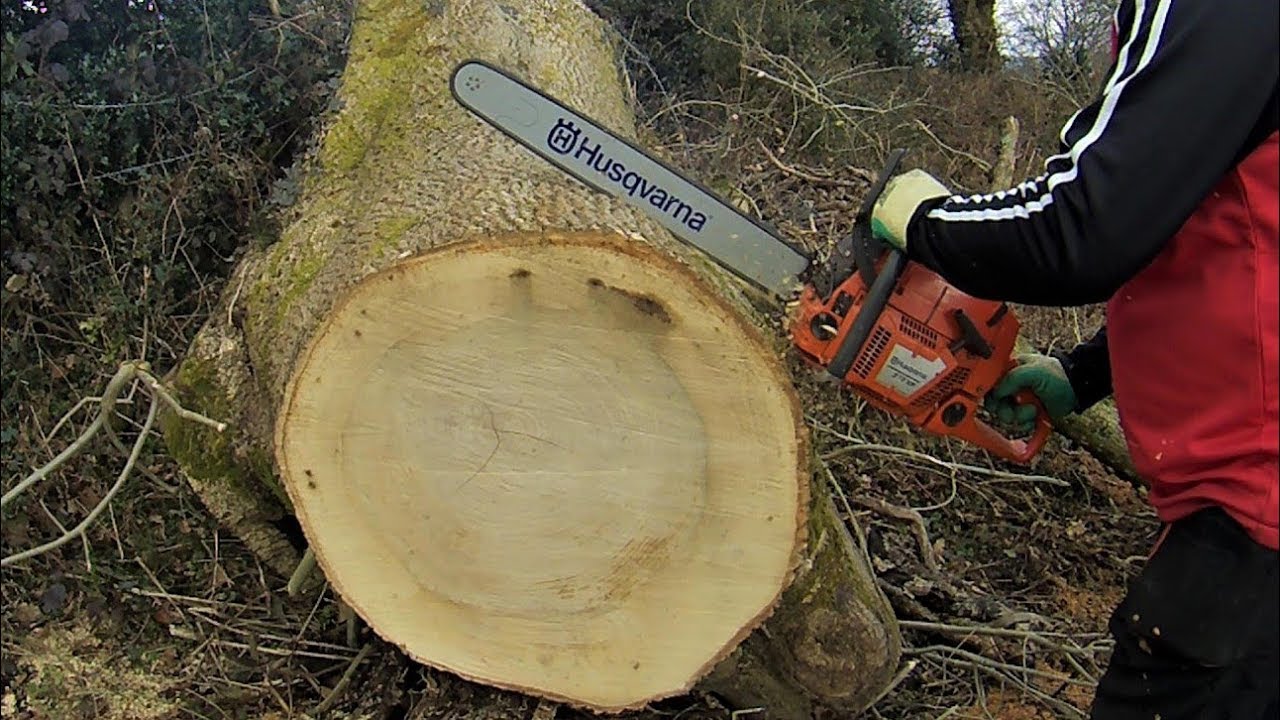 Husqvarna 372xp Cutting Up A Big Ash Tree, (Part 1) - YouTube