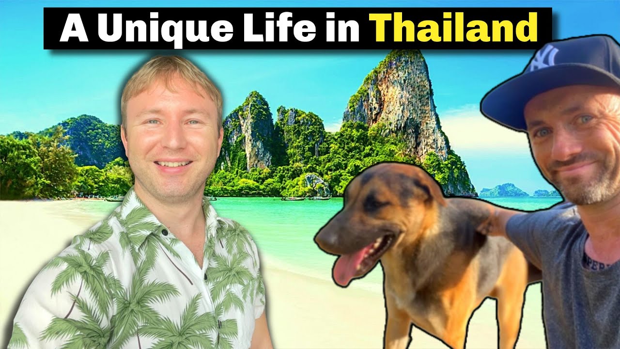 Irish Entrepreneur QUITS Corporate Life to Save Dogs on KOH SAMUI ...