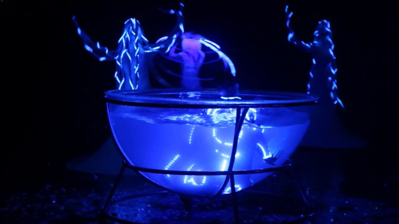 LED Fusion (LED Aquatic act, LED Floating, LED Rings) - YouTube