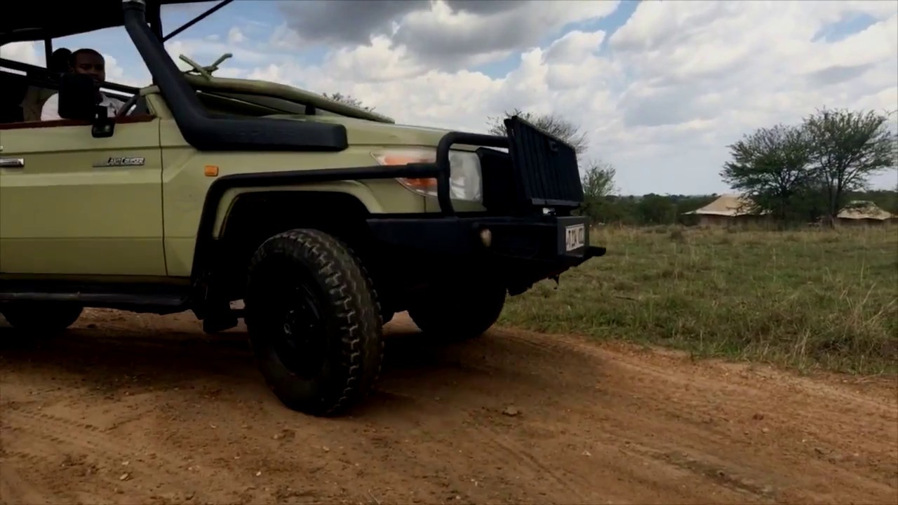 Asilia Africa Guide Training - YouTube