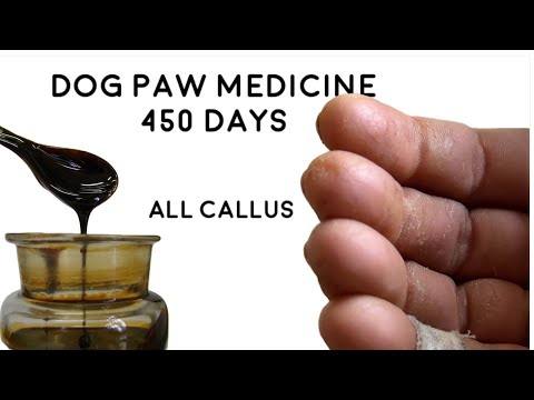 I used dog paw medicine for 450 days here’s what happened to my hands