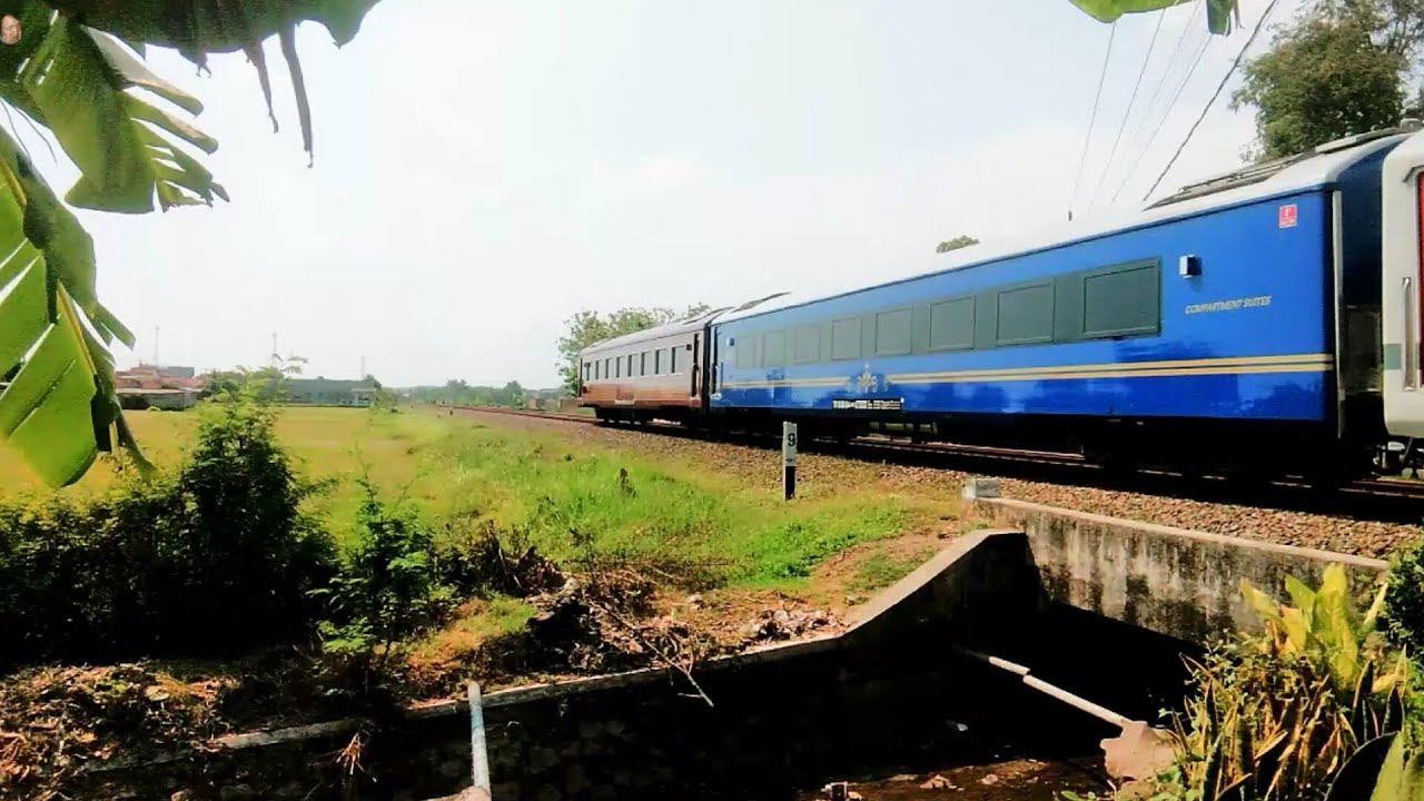 BLUE & BROWN TRAIN | A JUST TRAIN VIDEO - YouTube