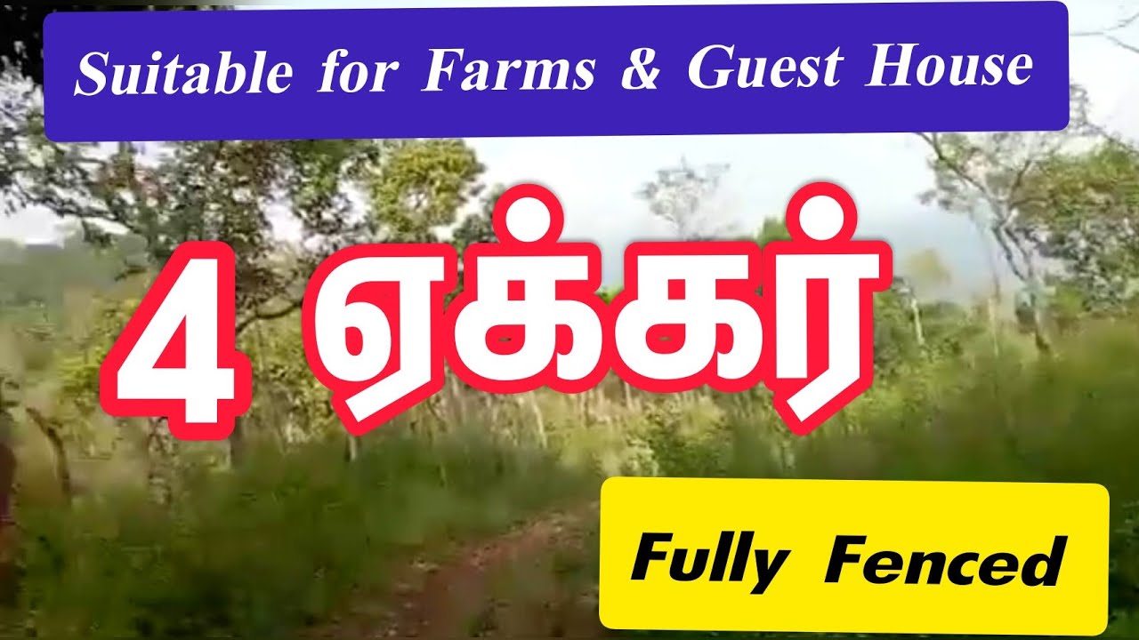 4 ஏக்கர் நிலம் விற்பனைக்கு | 4 Acre land for sale | Open Well | Free EB ...