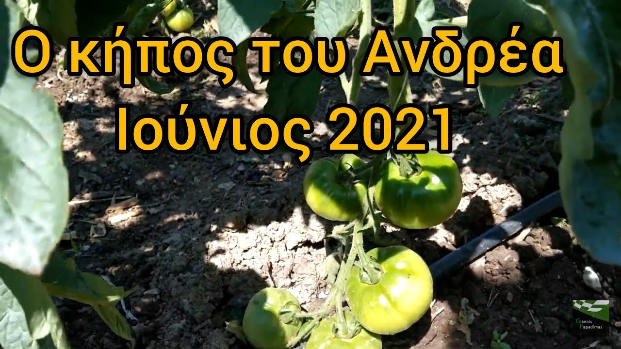 Ο κηπος του Ανδρεα Ιουνίος 2021 - YouTube