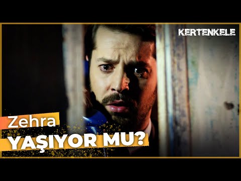 Murat, Zehra'nın yaşadığını öğreniyor! | Kertenkele🦎80. Bölüm - Muhteşem Finaller
