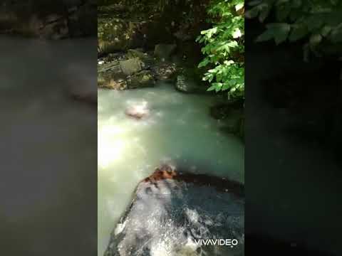 Ruha iyi gelen müzik ve manzara ikisi bir arada #Müzik #Doğa #Manzara #Şelale #Ordu