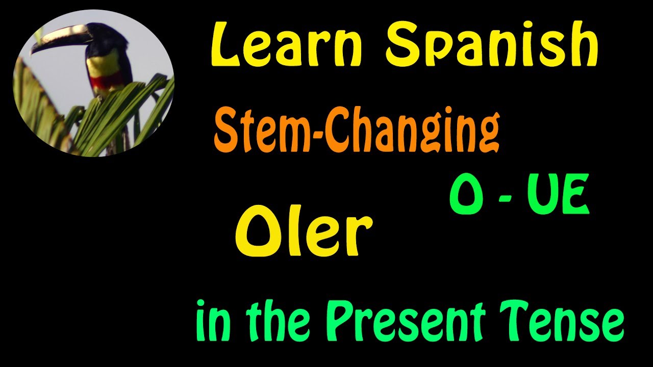 Learn Spanish- Verb Oler (O – UE) - Present Tense - YouTube