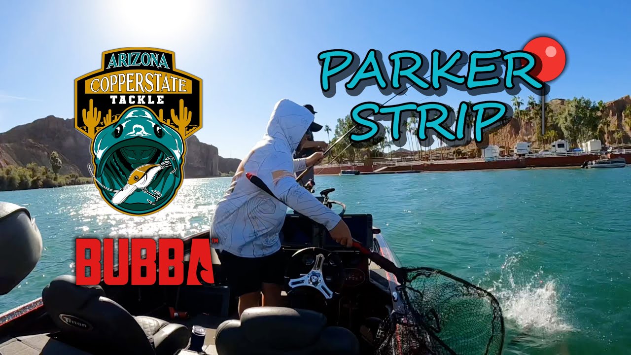 Smallmouth Bass SLUGFEST On the Parker Strip! - YouTube