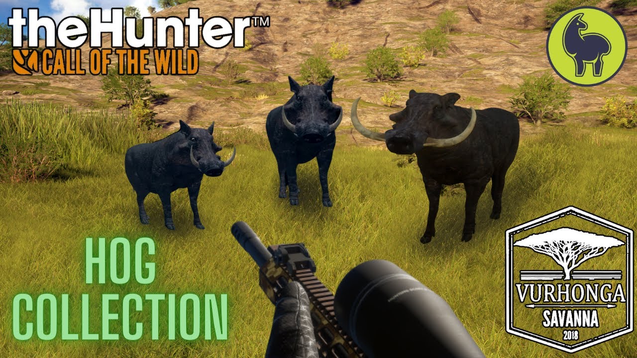 Hog Collection, Vurhonga Savanna | theHunter: Call of the Wild (PS5 4K ...