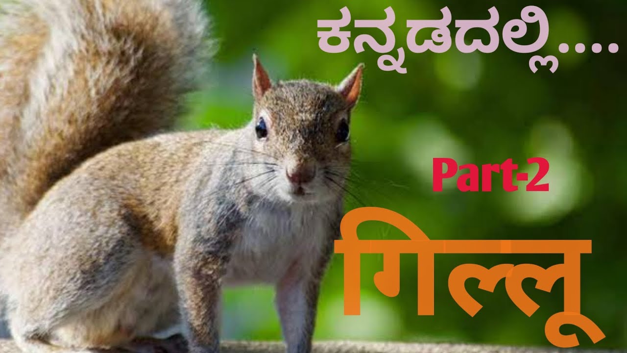 Gillu 10th Hindi Lesson | Tenth Standard 3rd Lesson Explained | Gillu ...