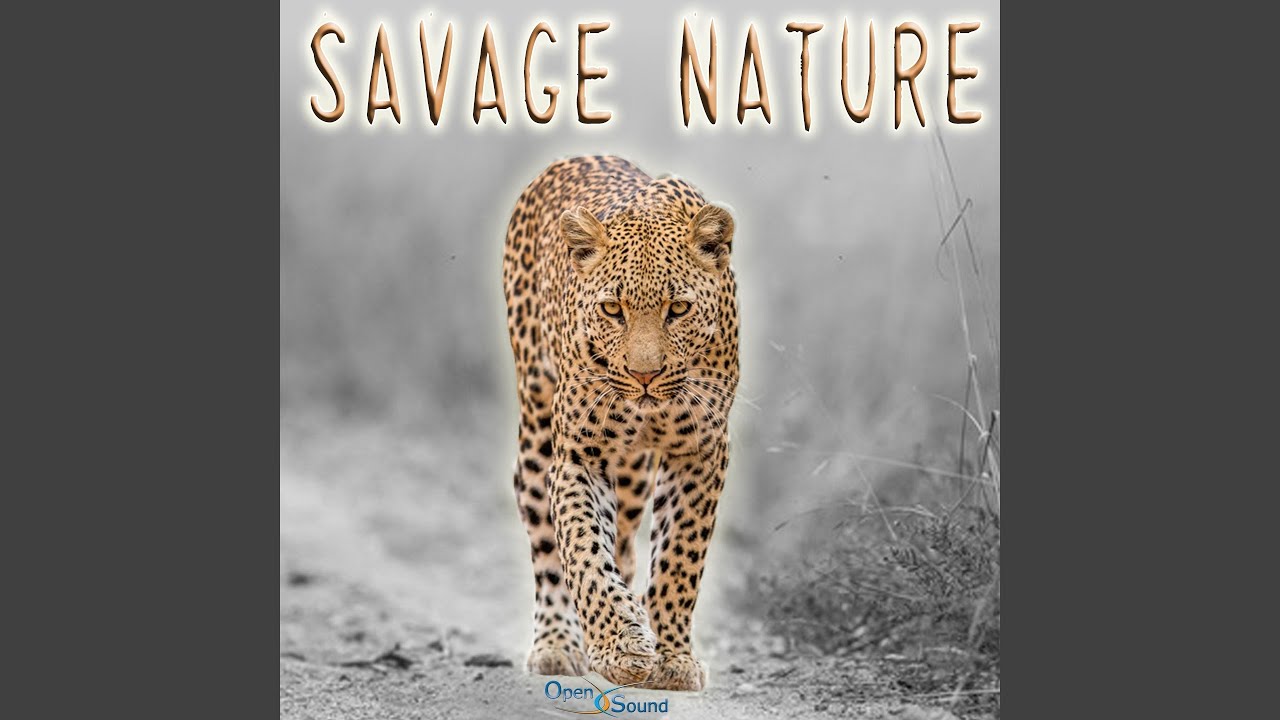 Savage Nature (Underscore) - YouTube