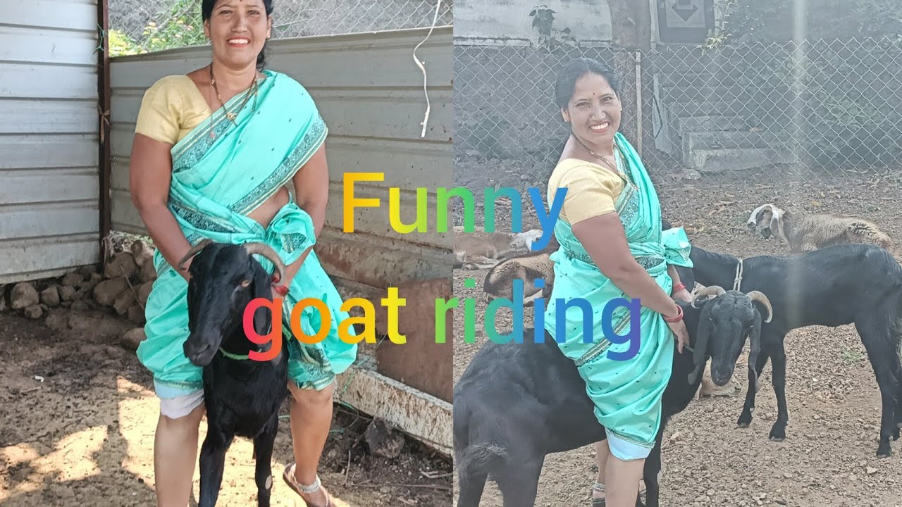 Very funny 😂 goat riding lady desi style village @RGJ24 - YouTube