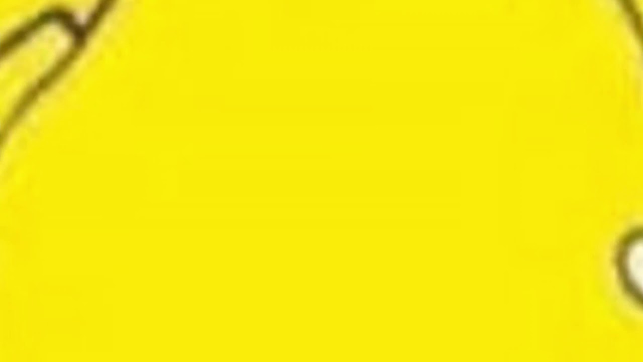 OMG das passiert wen Pikachu und Big chungus in einem Dinner sind ...