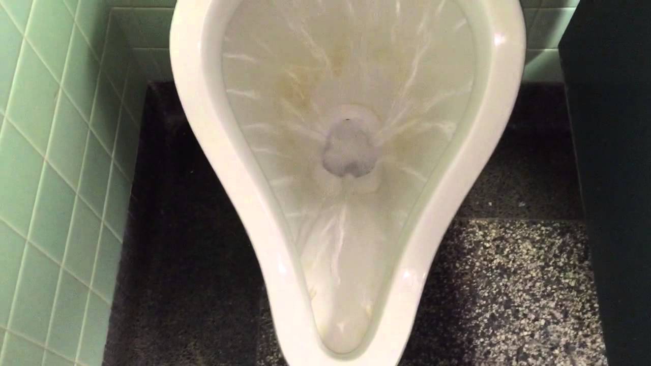 323. Three Madstone Urinals and One "Standard" Madera Toilet. - YouTube