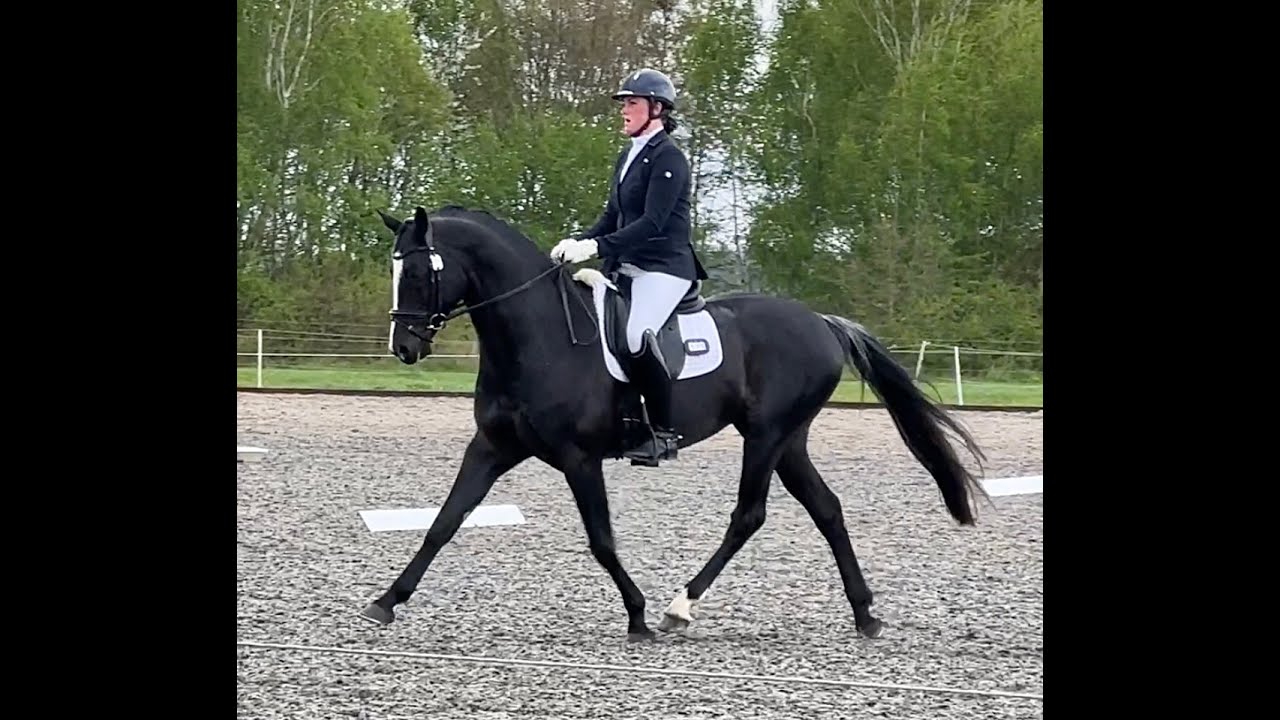 Koning Albert taking 2 overall wins and with over 72% in one test he’s ...