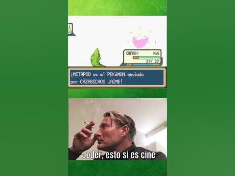 ¡Metapod vs. Metapod! - YouTube