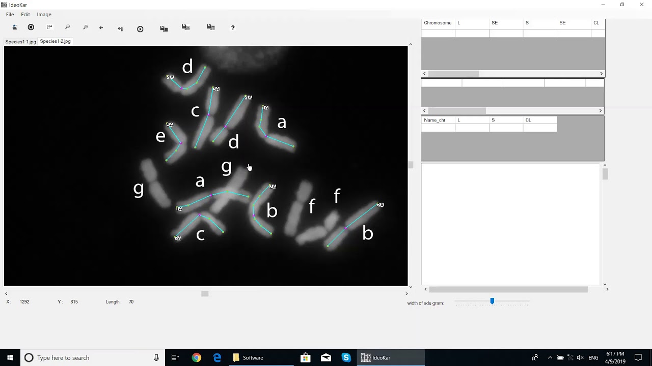 IdeoKar training video-Free karyotyping tool - YouTube