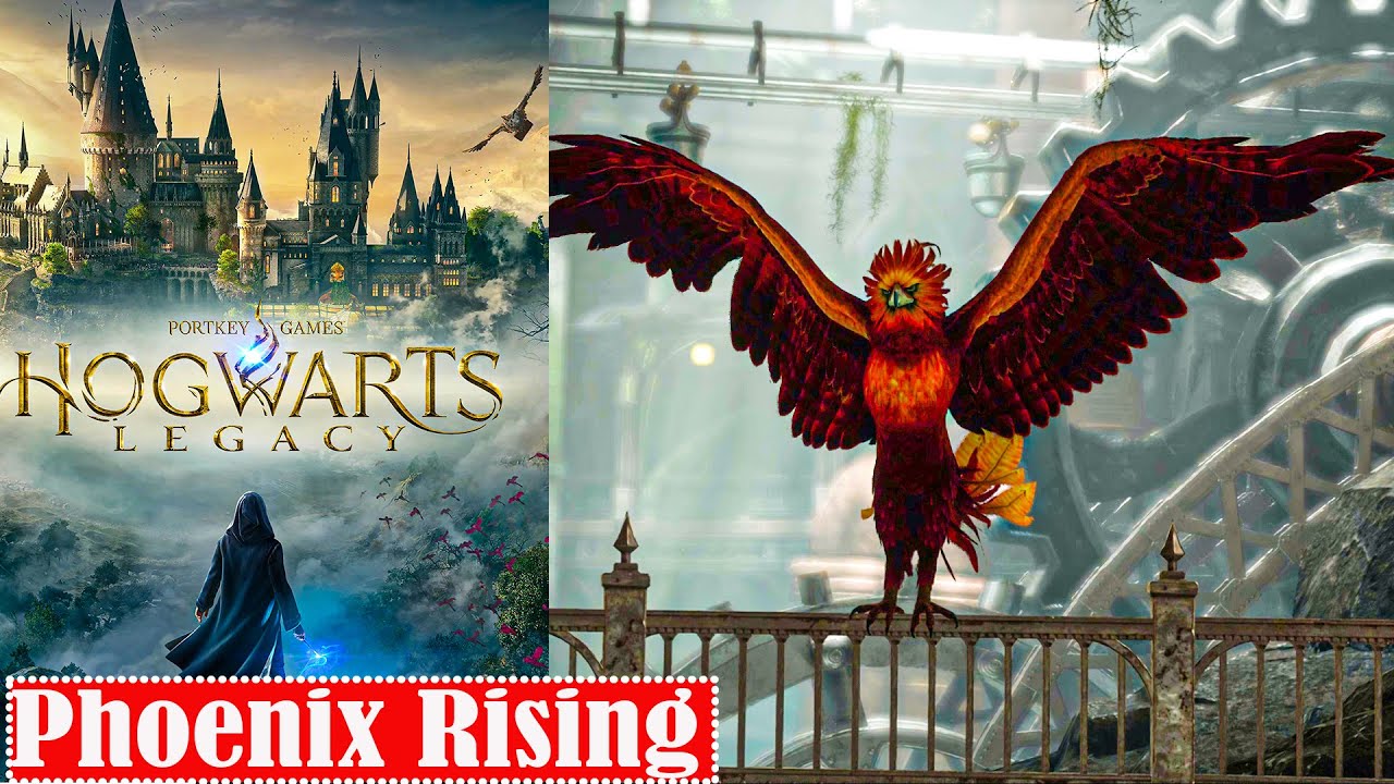 Hogwarts Legacy:- Phoenix Rising:- Rescue Phoenix With The Nab Sack ...