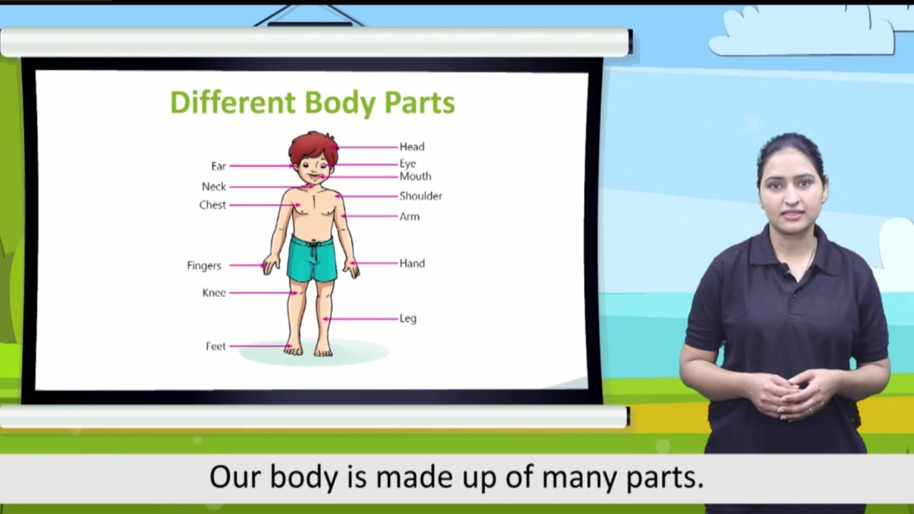 Different Body Parts - YouTube